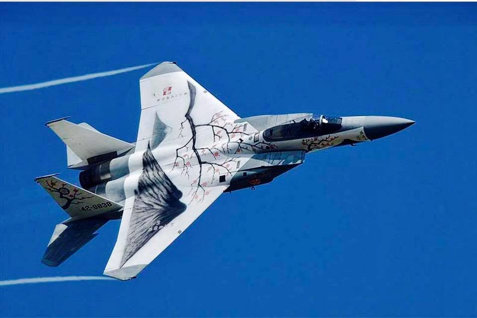 The Japanese Air Force's Decline From the Leading Regional Power of the ...