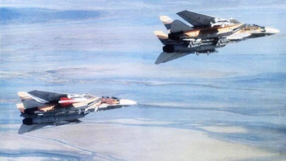 The F-14 Tomcat's Long Service in Iran: From Standoffs with the Soviets ...